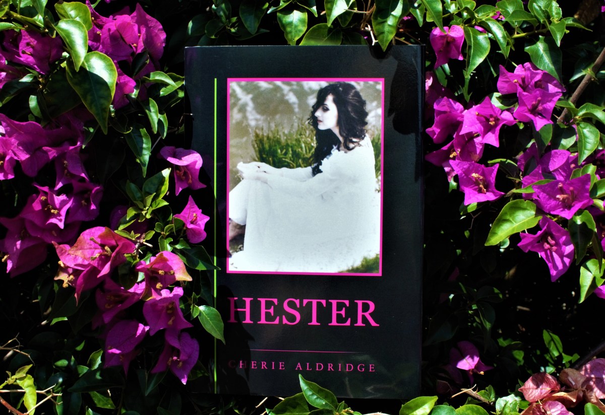 A Worthy Prequel to The Scarlet Letter: Cherie Aldridge’s Hester ...